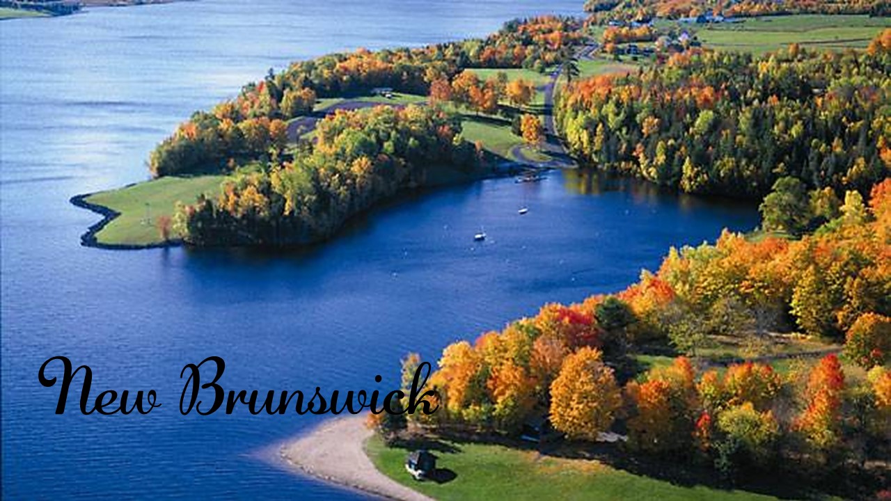 New Brunswick adds 9 occupations Express Entry - Alpha Consultants.