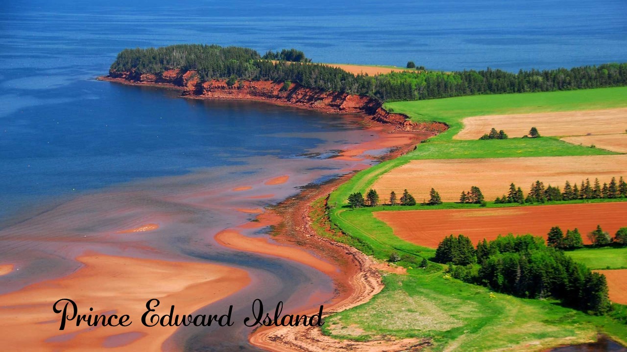 PEI Express Entry invitation- Alpha Consultants. Our business taking ...