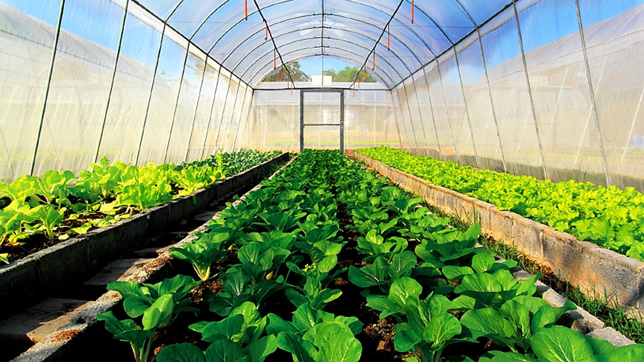 Canada to launch dedicated Agri Food industry immigration pilot